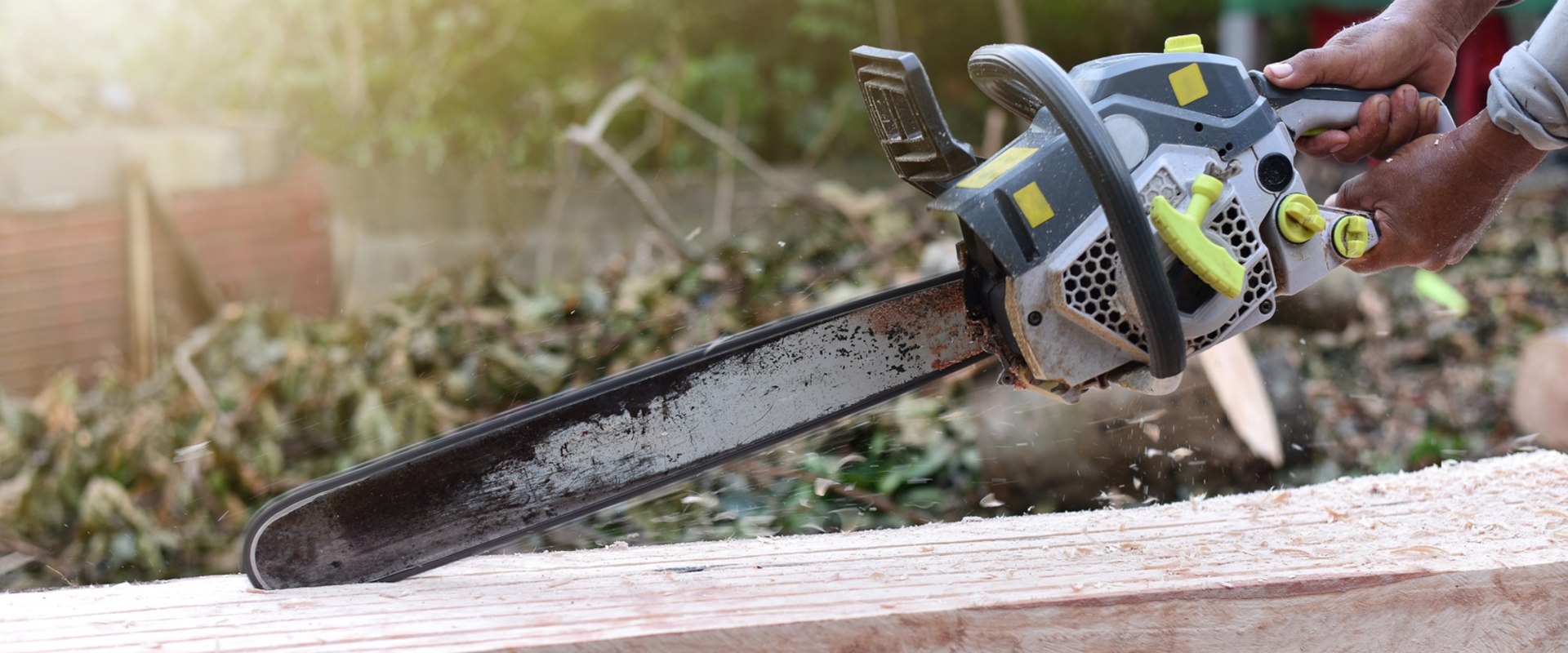 Timber Tactics: Understanding The Vital Role Of Tree Felling In St ...